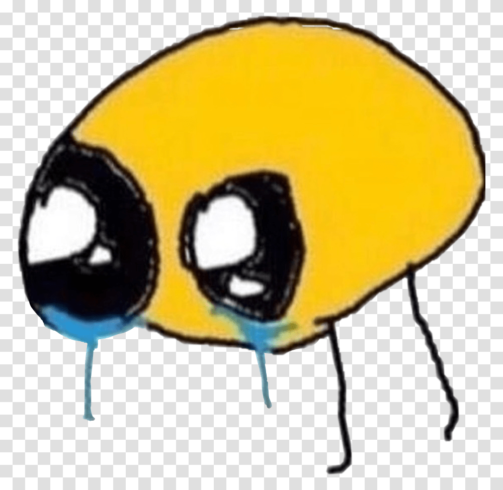 Cursed Crying Emoji Helmet Apparel Insect Transparent Png Pngset Cursed Crying Emoji Helmet Apparel Insect Transparent Png Pngset