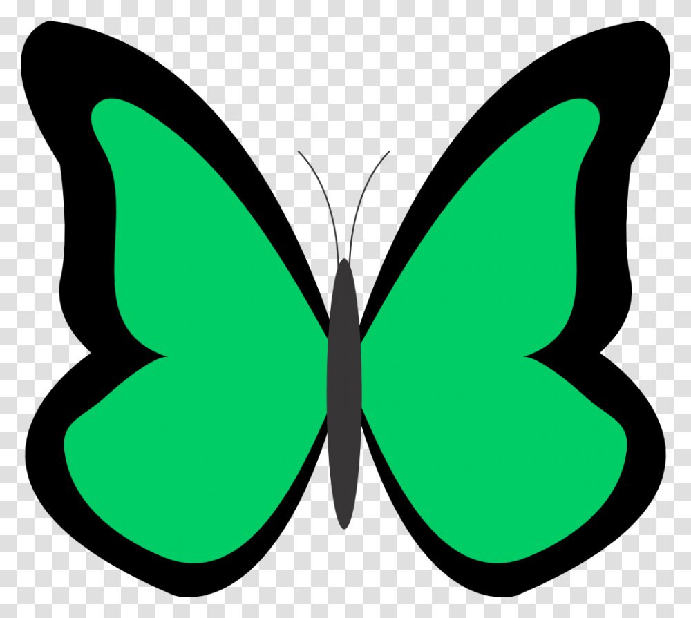 Green, Pattern, Ornament, Animal Transparent Png – Pngset.com